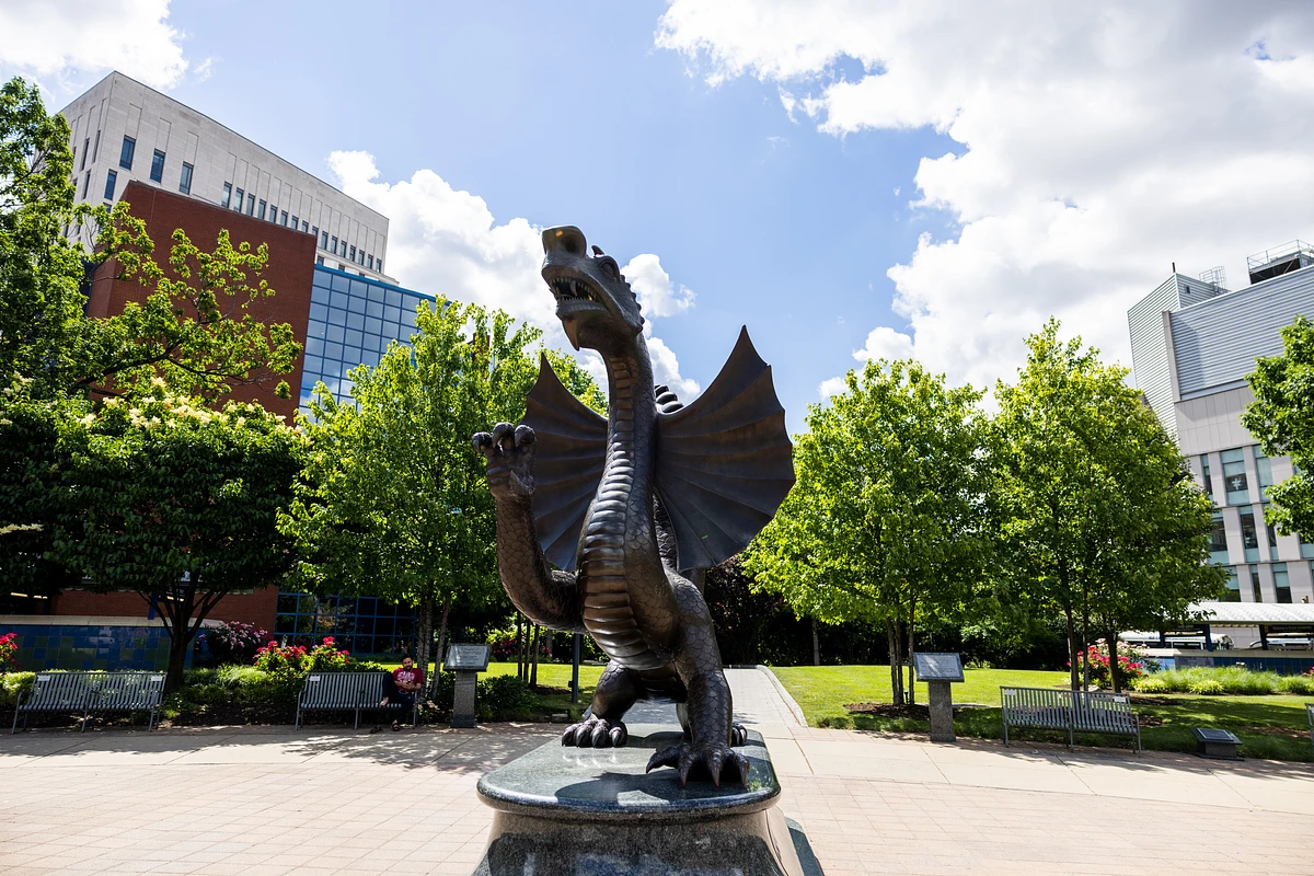 New Dragon Next Steps | The Drexel University Family Portal